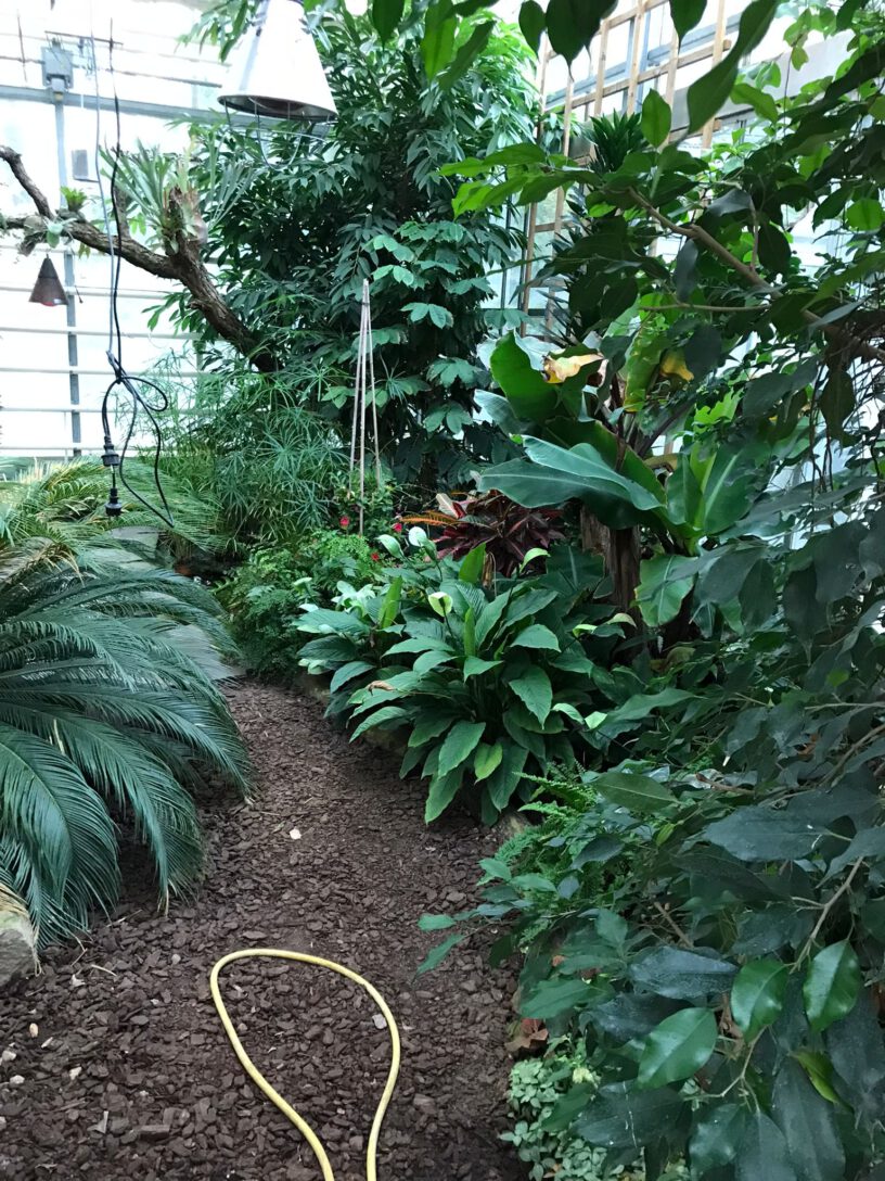 Peter-Lenné-Schule (OSZ Natur und Umwelt): Eine Schule ganz im Sinne ...